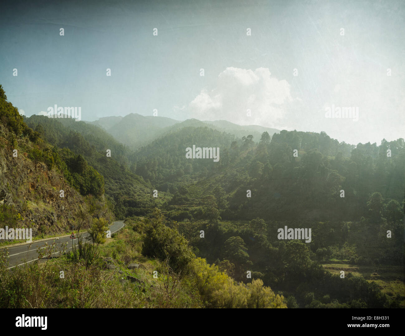 Lomo hi-res stock photography and images - Alamy