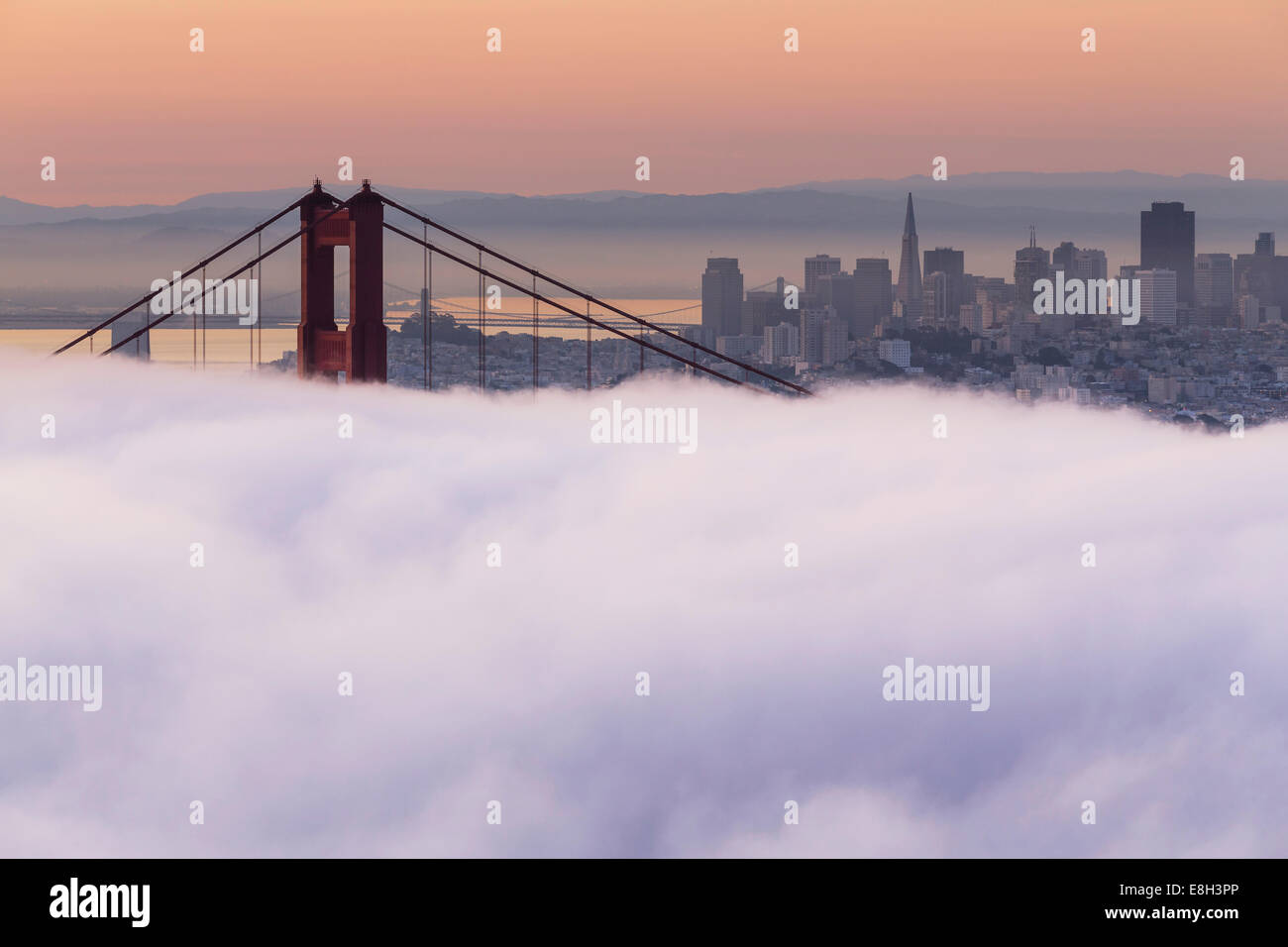 USA, California, San Francisco, skyline and Golden Gate Bridge in fog ...