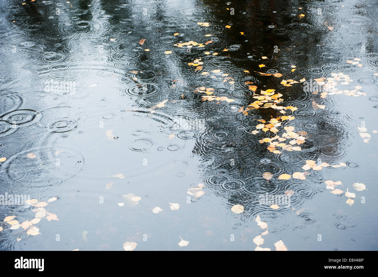 Raindrops are falling hi-res stock photography and images - Alamy