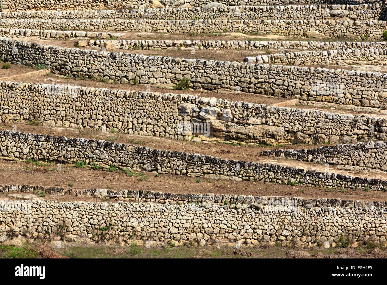 Traditional styled dry stone wall used to divide fields and ...