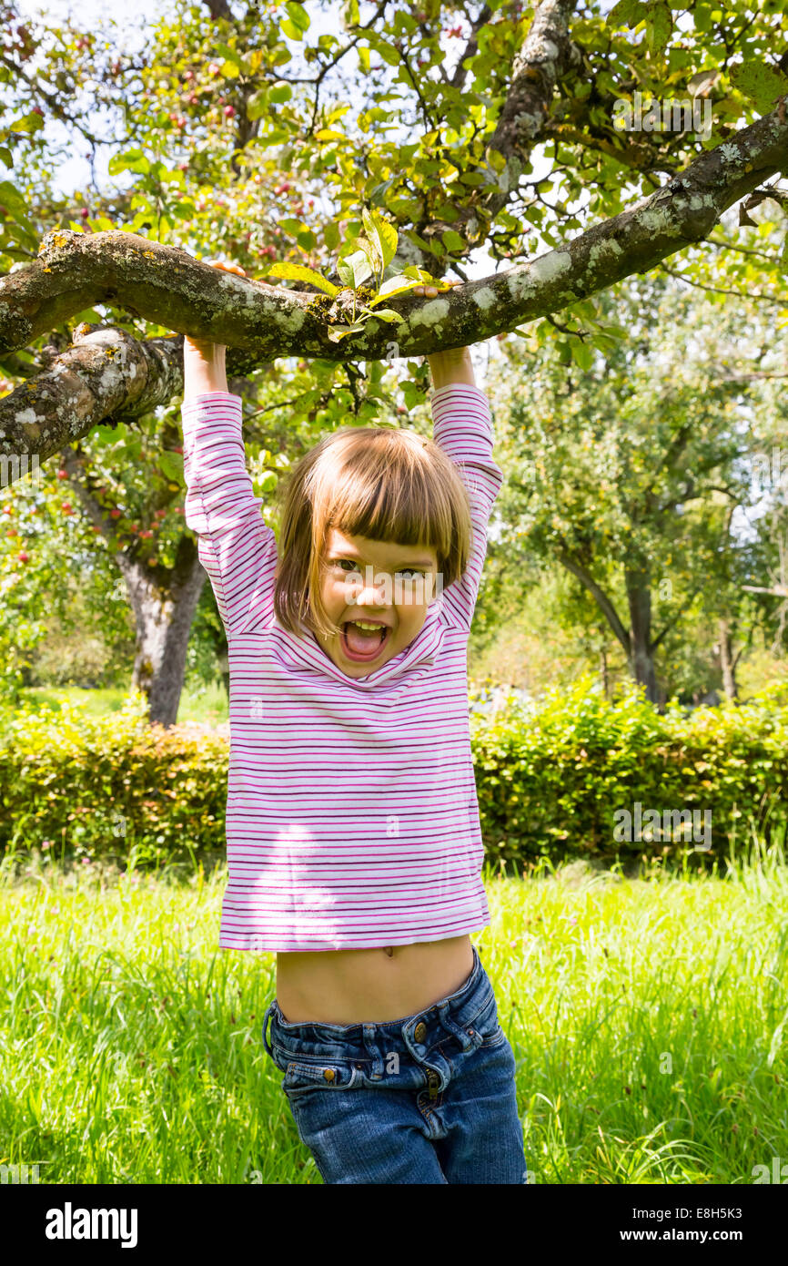 Portrait of laughing little girl hanging on a branch of an apple tree Stock Photo - Alamy