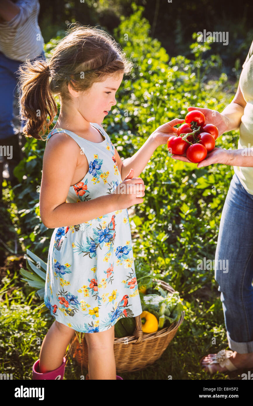Child labour germany hi-res stock photography and images - Alamy