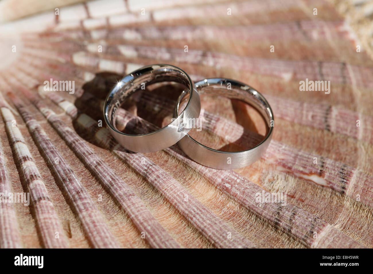 Two wedding rings lying on a shell Stock Photo - Alamy