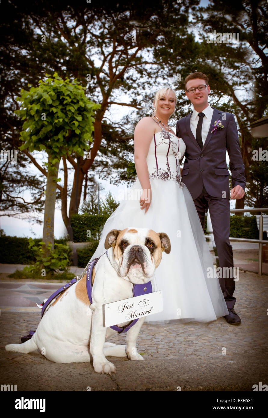 Bridal couple dog hi-res stock photography and images - Alamy