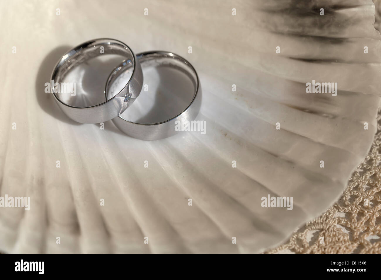 Shell rings hi-res stock photography and images - Alamy