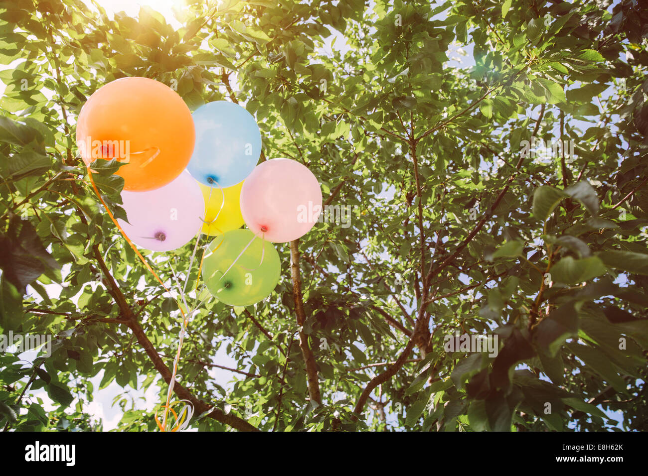 Helium ballons hanging in trees Stock Photo - Alamy