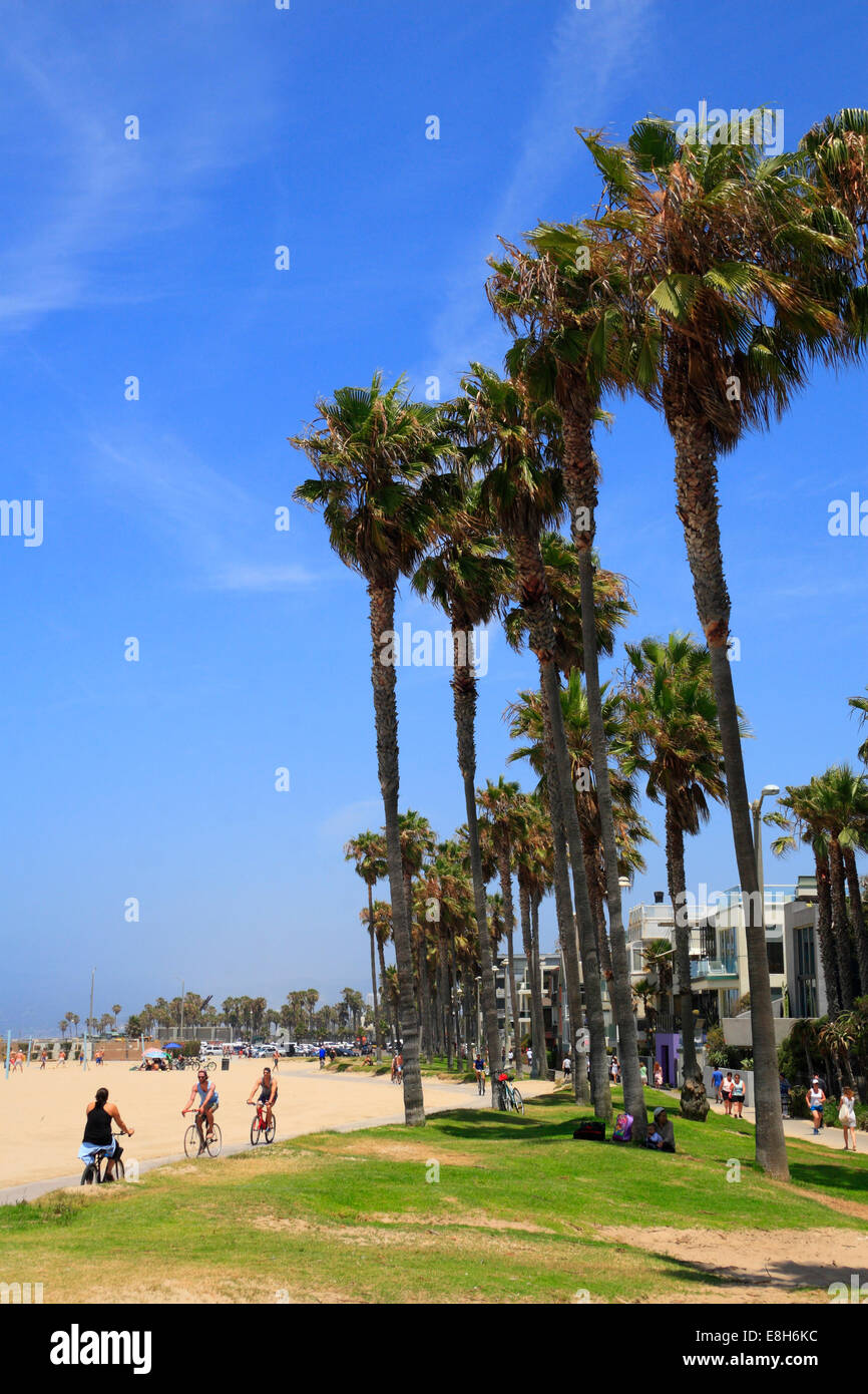 Ocean Front Walk, Venice Beach, Los Angeles, California, USA Stock ...