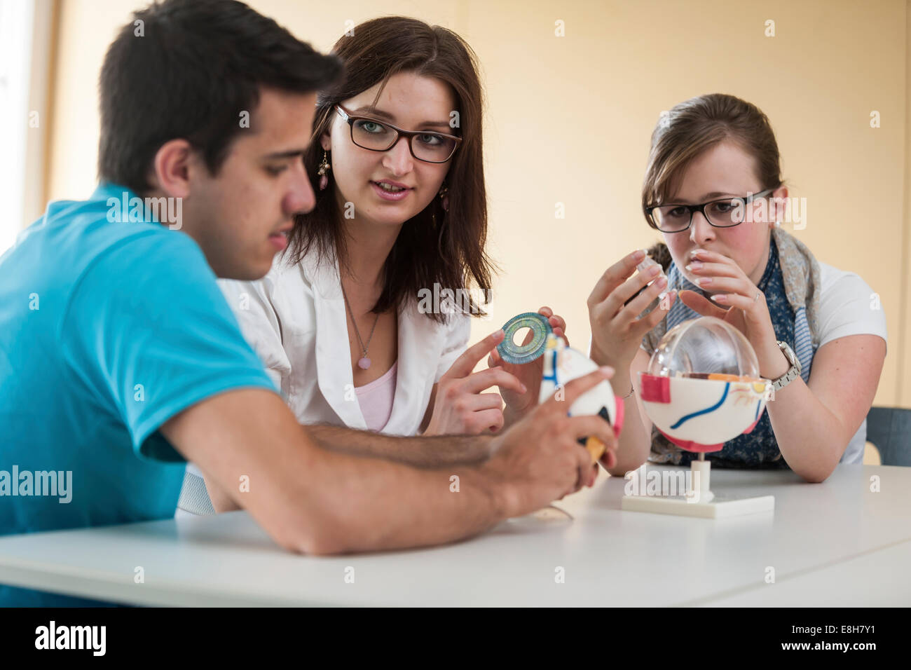 Classroom model of eye hi-res stock photography and images - Alamy