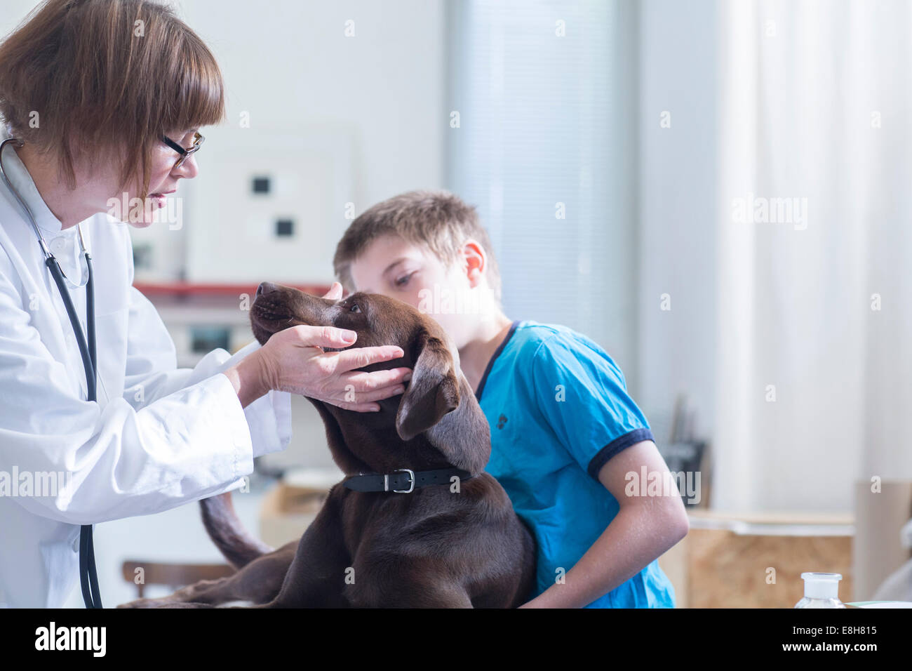 Boy at vet with dog Stock Photo - Alamy