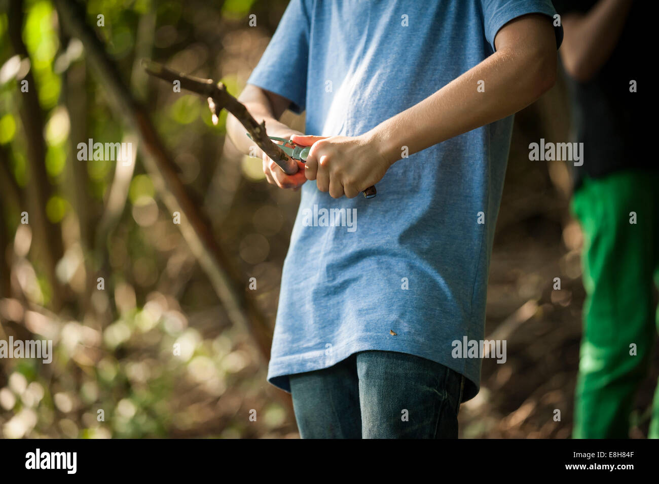 Boy carving twigs with his pocket knife in a forest, partial view Stock ...