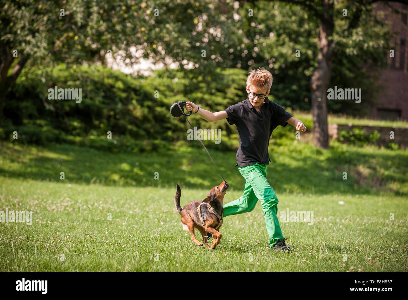 A child playing with their dog hi-res stock photography and images - Alamy
