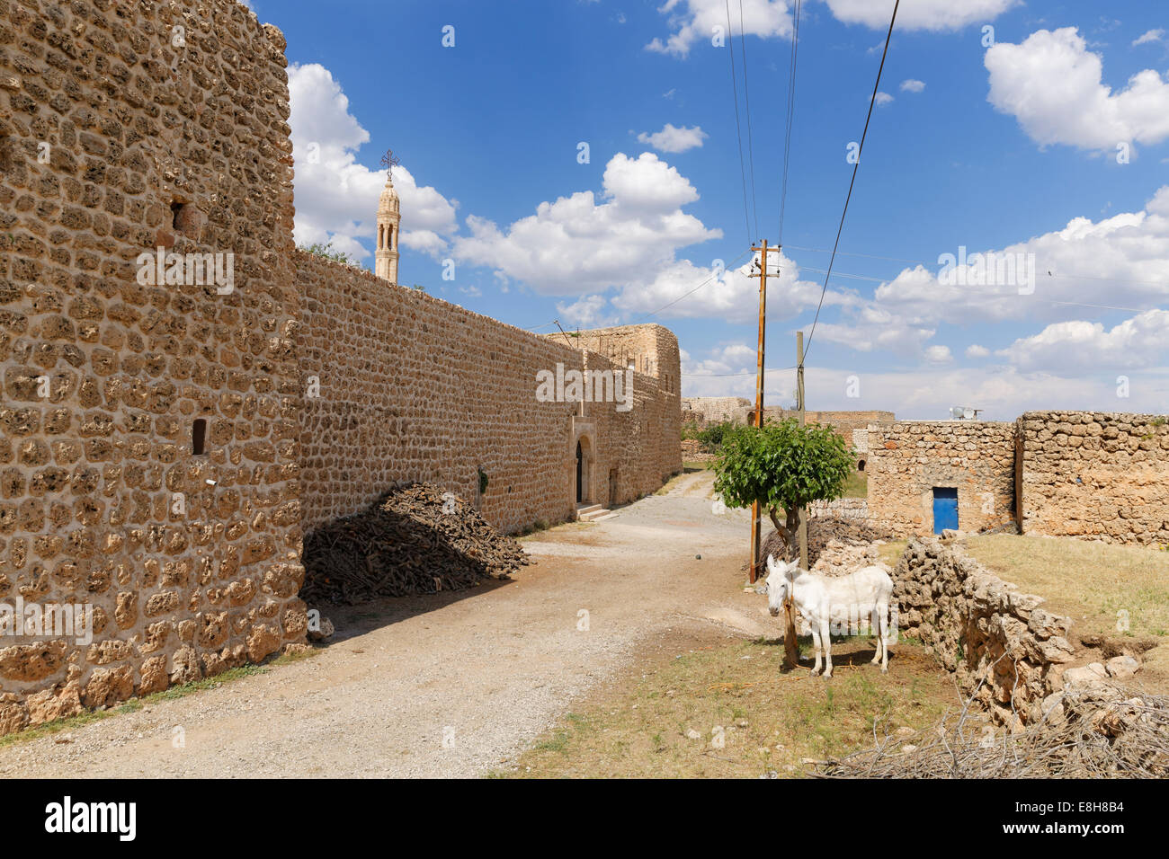 Turkey, Anatolia, South East Anatolia, Sirnak Province, village Haberli ...
