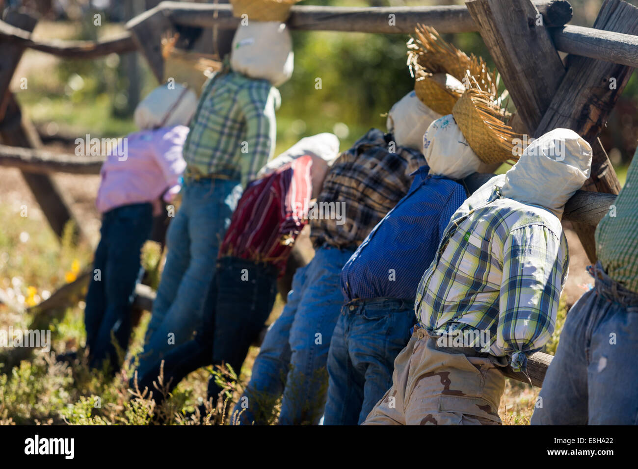 Handmade scarecrow for Halloween decoration on old farm Stock Photo - Alamy