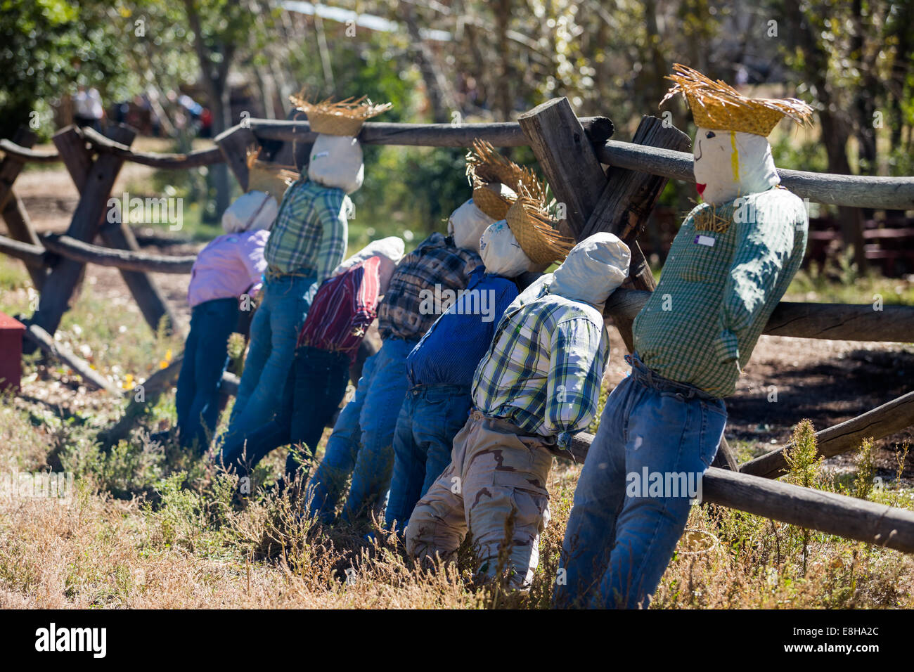 Handmade scarecrow for Halloween decoration on old farm Stock Photo - Alamy