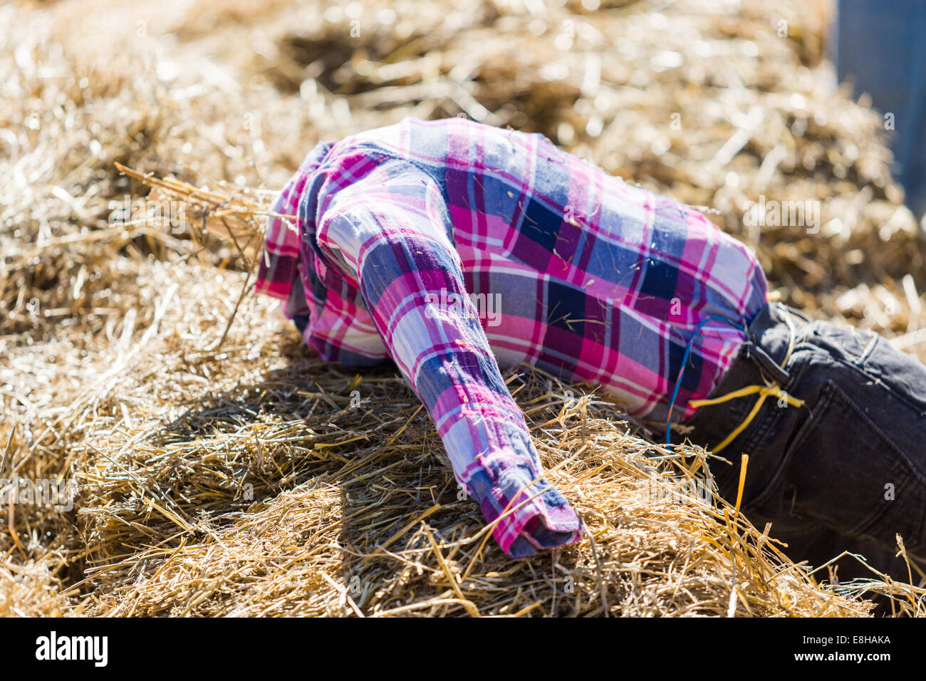 Handmade scarecrow for Halloween decoration on old farm Stock Photo - Alamy