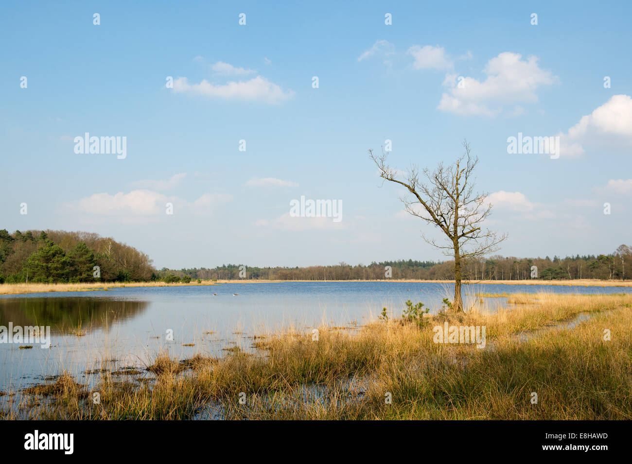 Leersumse Veld Stock Photos & Leersumse Veld Stock Images - Alamy