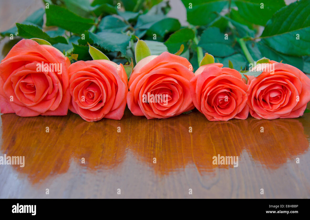 Number five flowers hi-res stock photography and images - Alamy