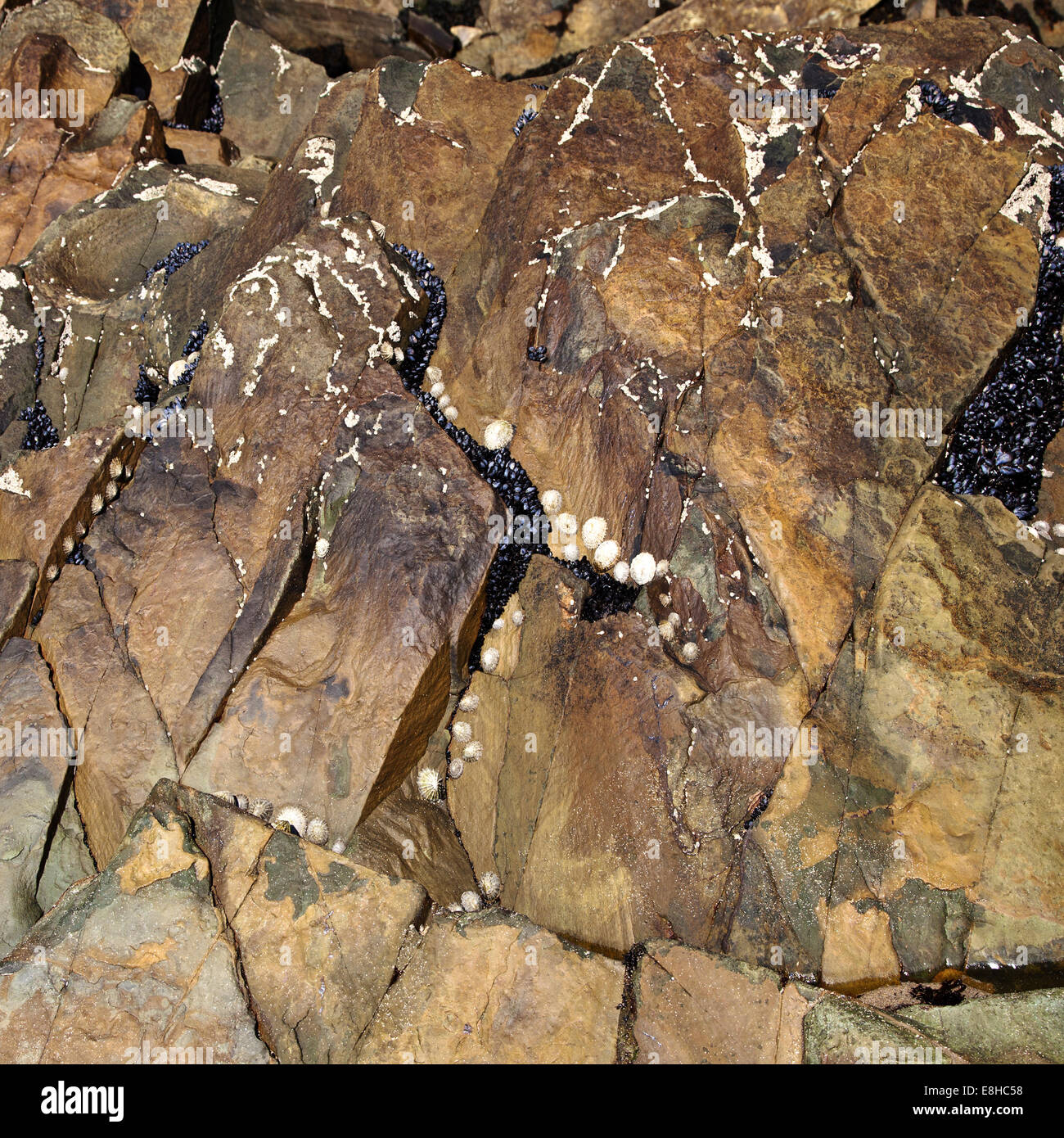 Slate on rock hi-res stock photography and images - Alamy