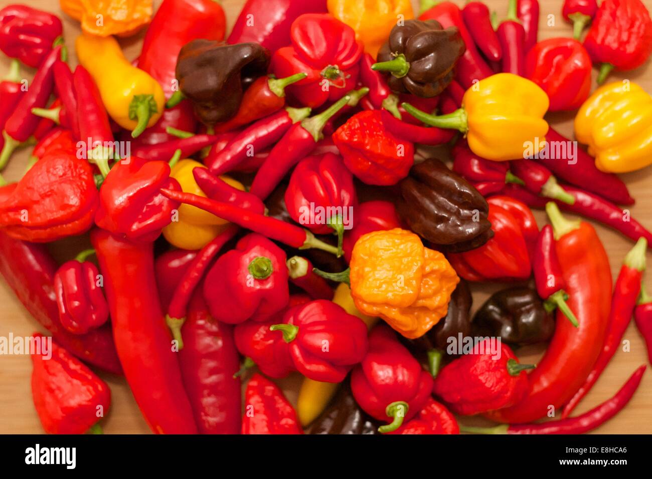 Many different chili peppers Stock Photo - Alamy