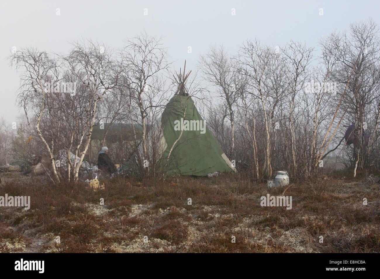 Saami tent, a chum, in the tundra near Lovozero on the Kola Peninsula ...
