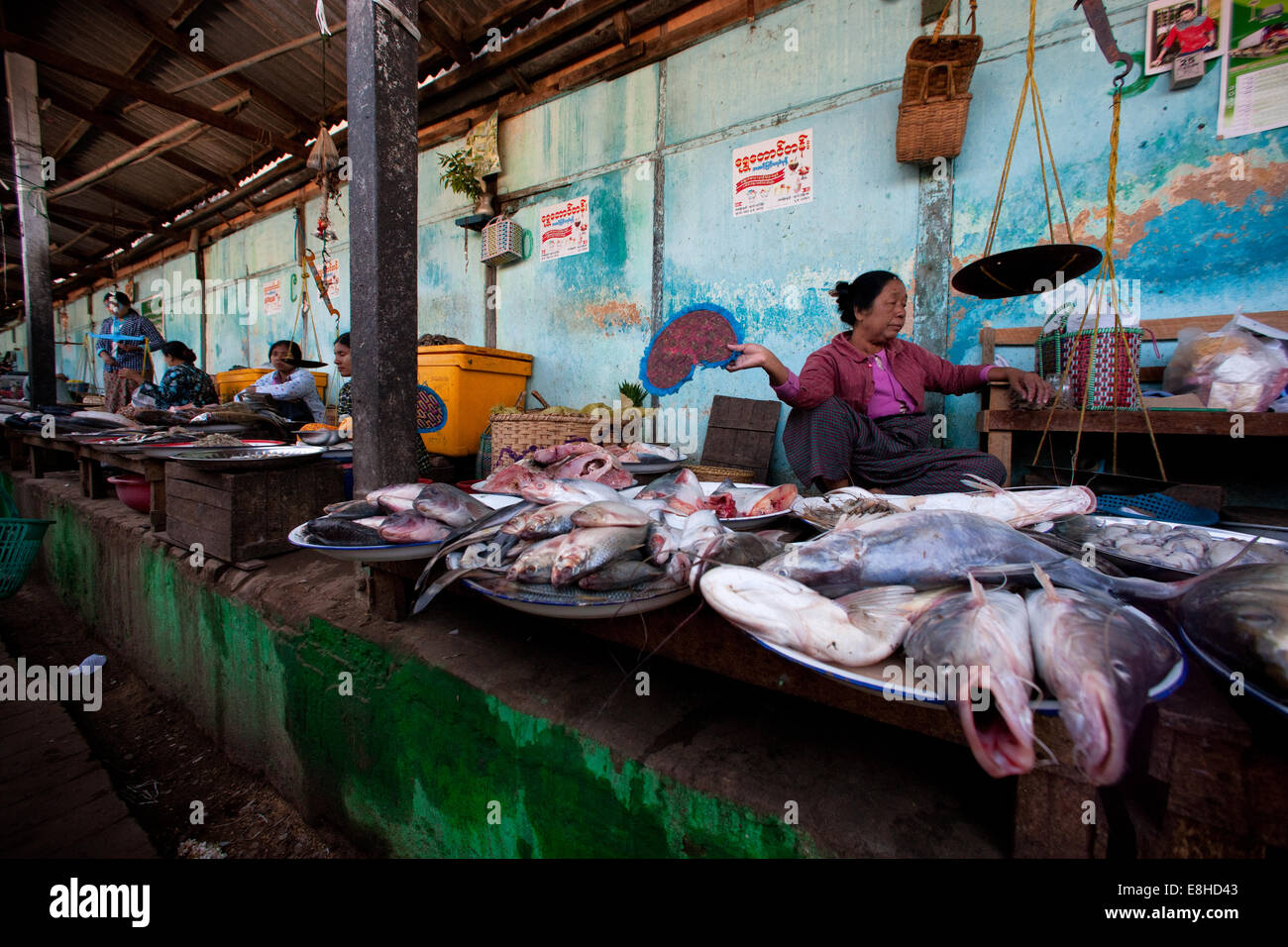 A fish market in Bagan Burma Myanmar Stock Photo - Alamy
