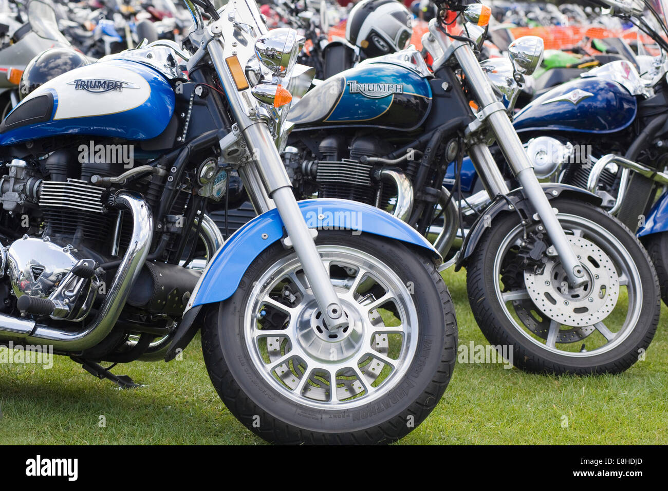 Triumph motorcycles lined up Classic British motorcycle Stock Photo - Alamy