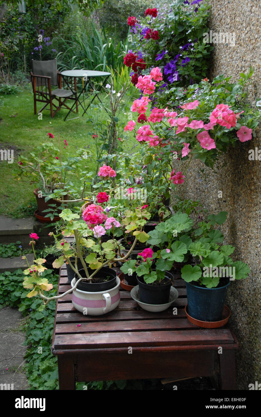Cottage hanging baskets hi-res stock photography and images - Alamy