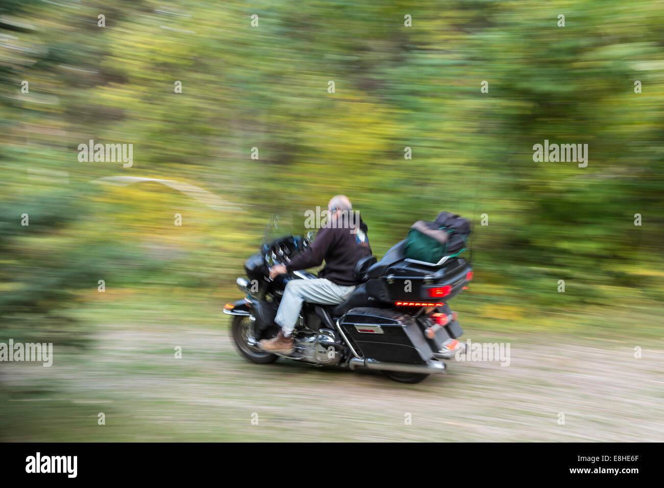 Mature Man Riding Harley Davidson Motorcycle in Spearfish Canyon, Black ...