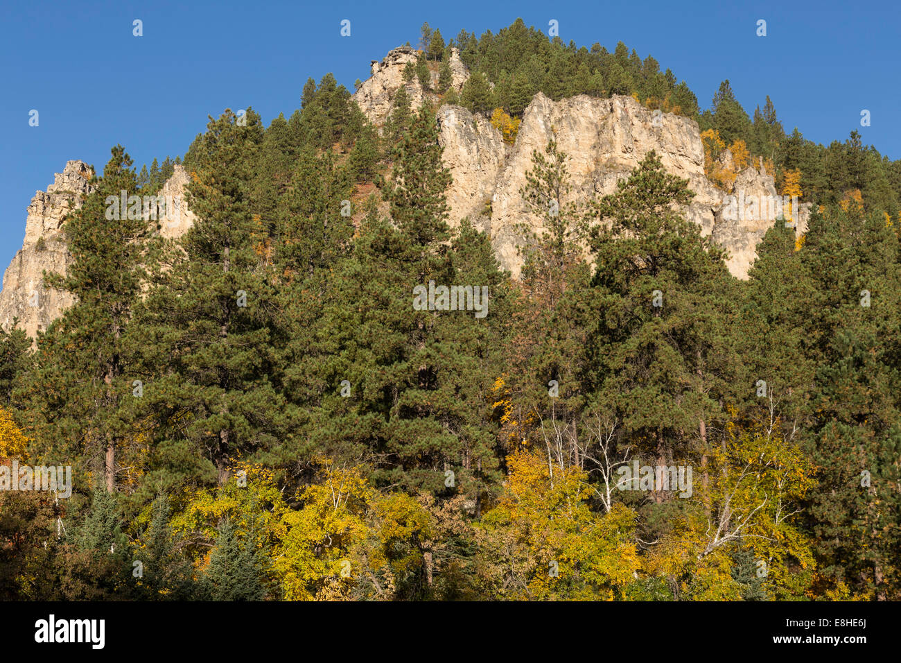 Spearfish Canyon, SD, USA Stock Photo - Alamy