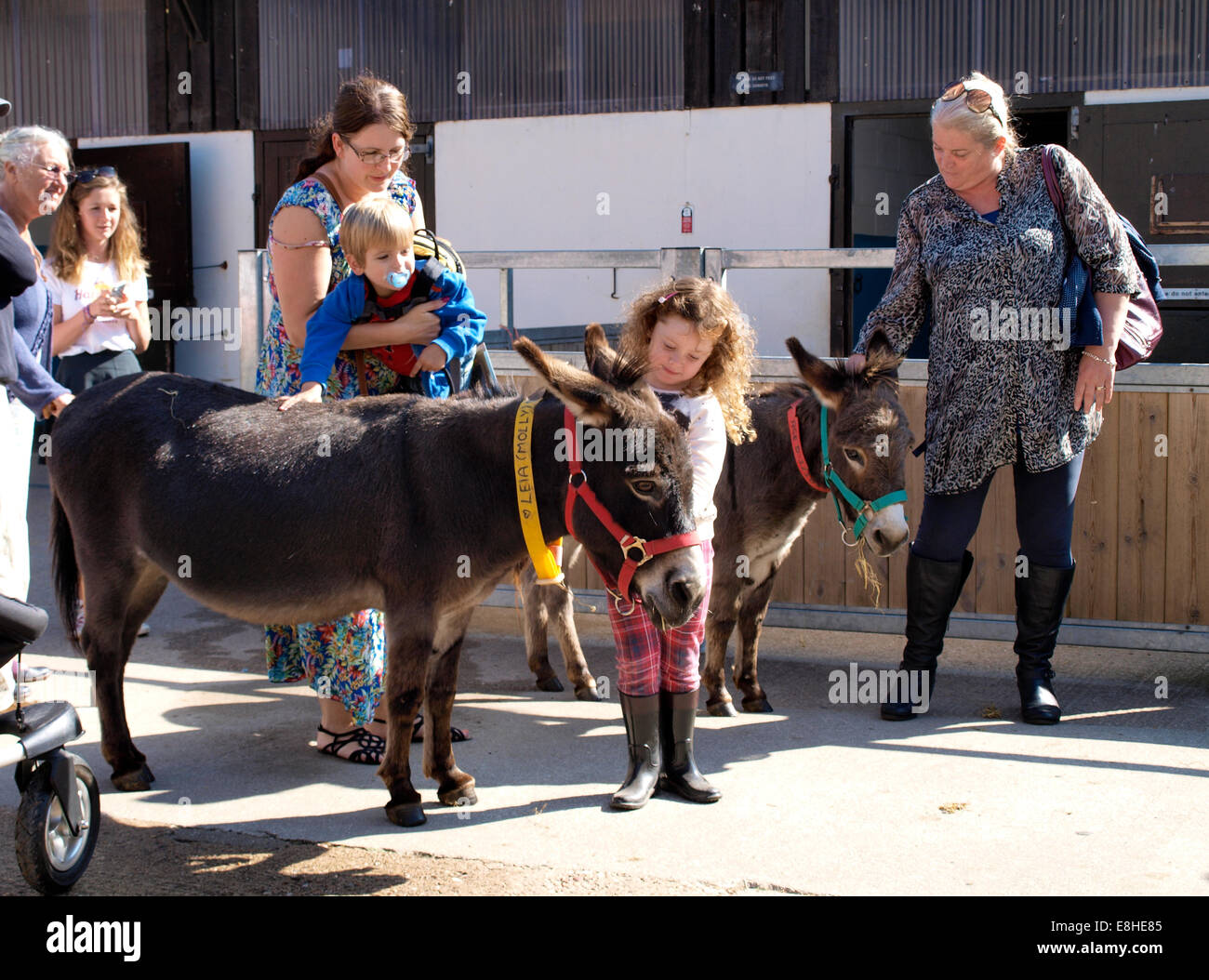 Uk donkey child hi-res stock photography and images - Alamy