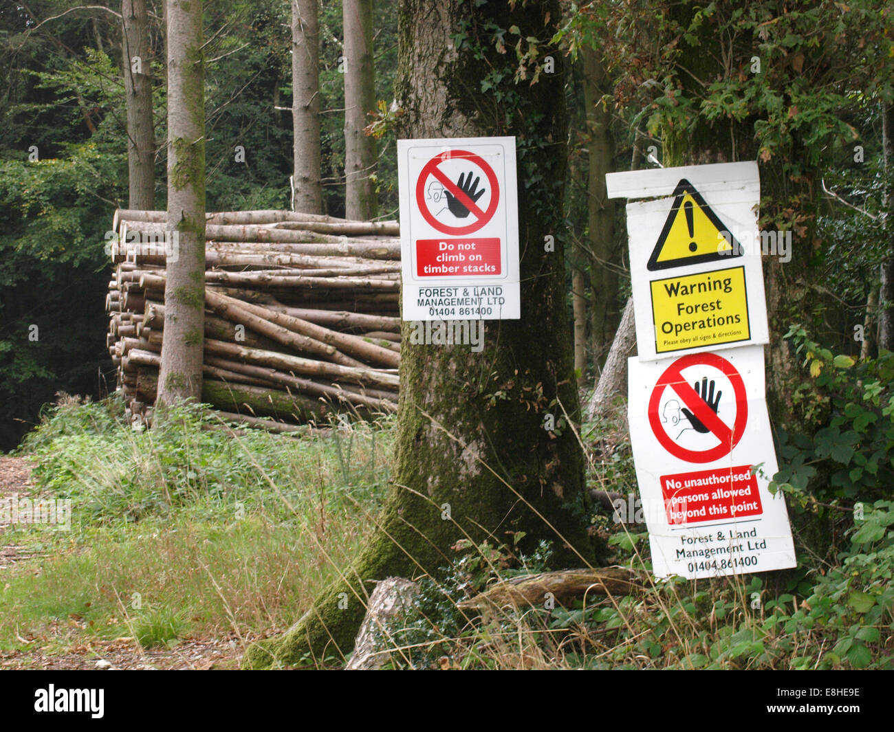 Warning signs at forestry operation, Devon, UK Stock Photo - Alamy