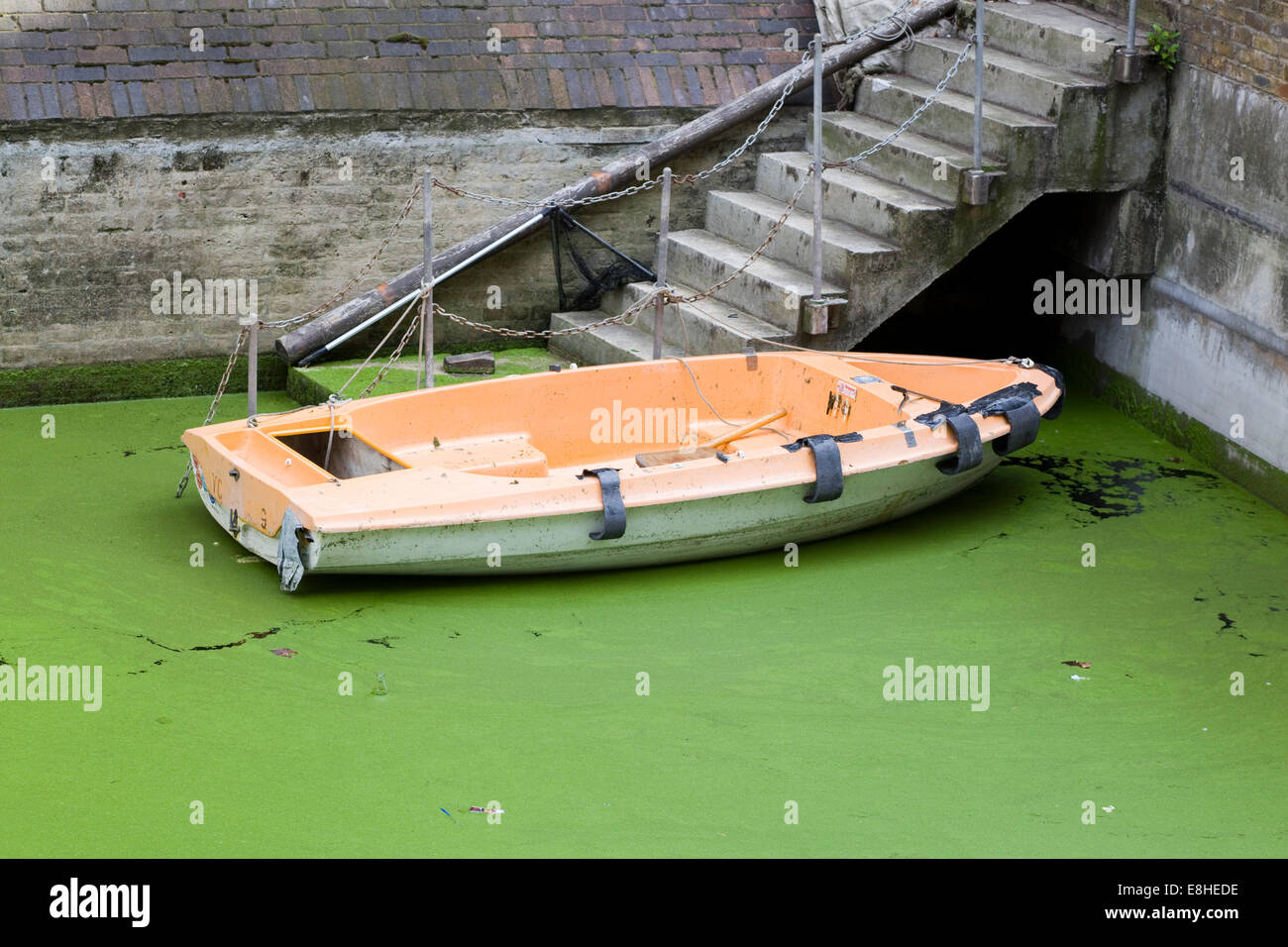 Moored rowing boat Stock Photo - Alamy