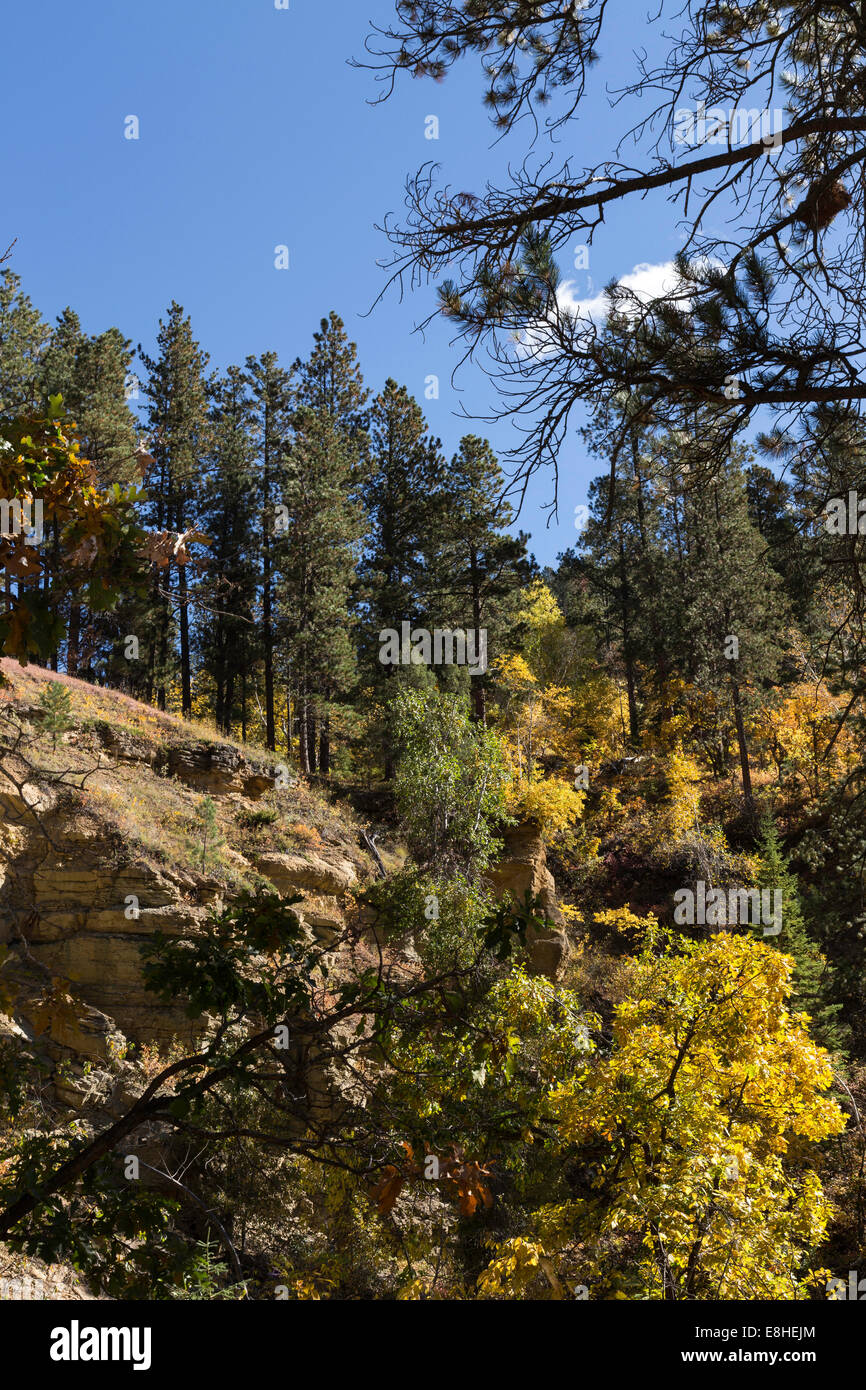 Spearfish Canyon, SD, USA Stock Photo - Alamy
