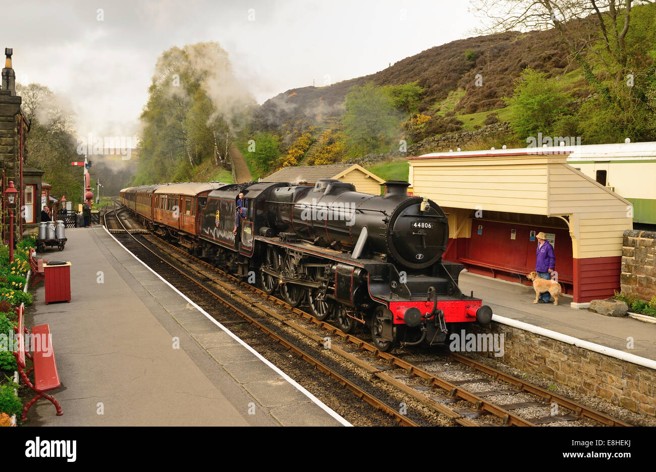 North Yorkshire Moors Railway steam train arriving at Goathland, bound ...