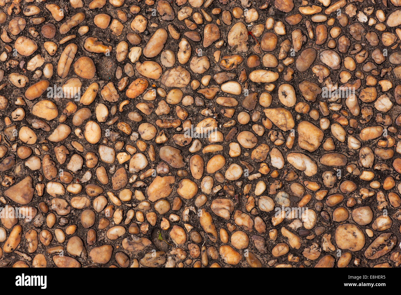 Detail in a section of aggregate Stock Photo - Alamy
