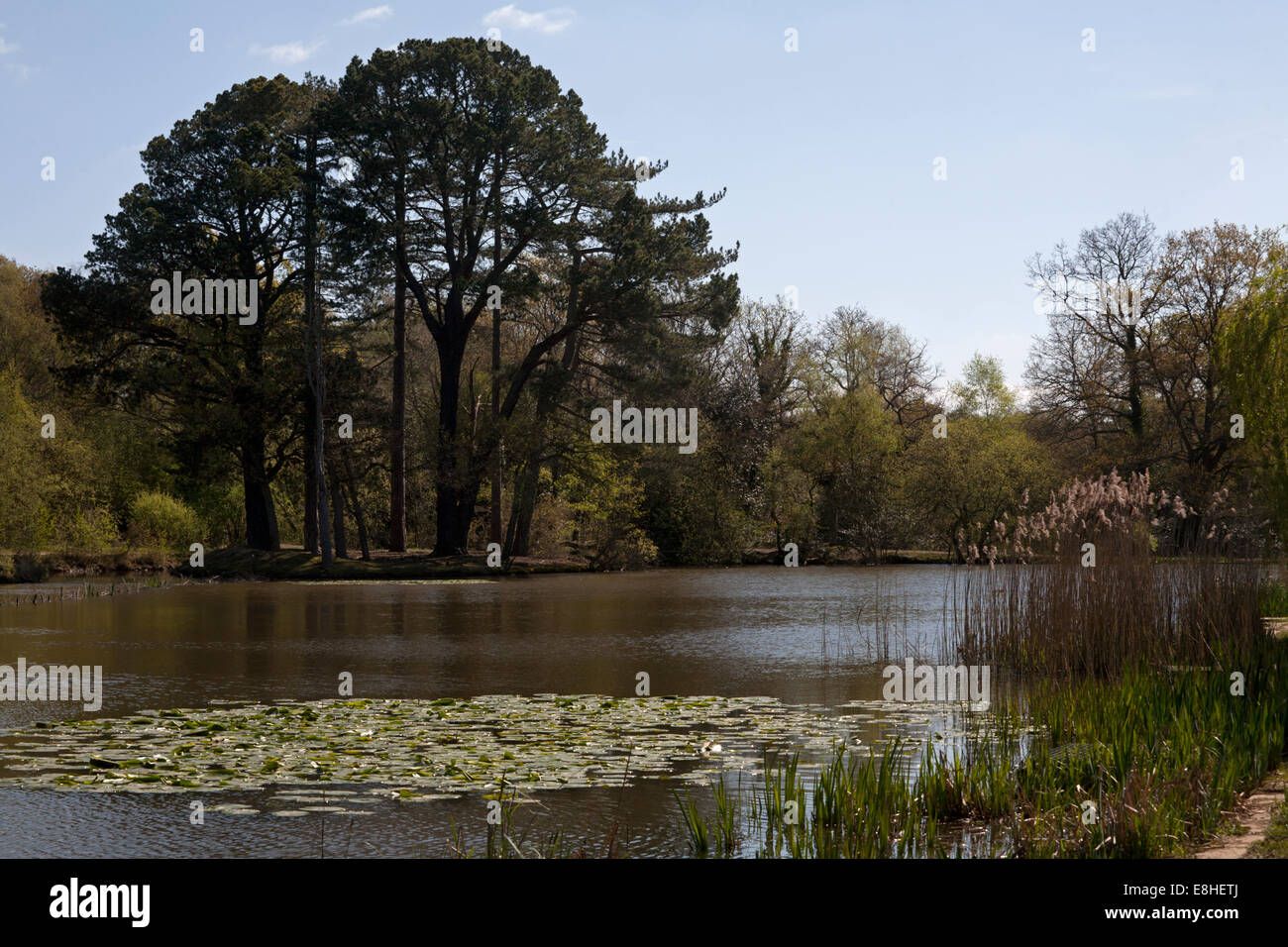 Southampton common southampton hi-res stock photography and images - Alamy