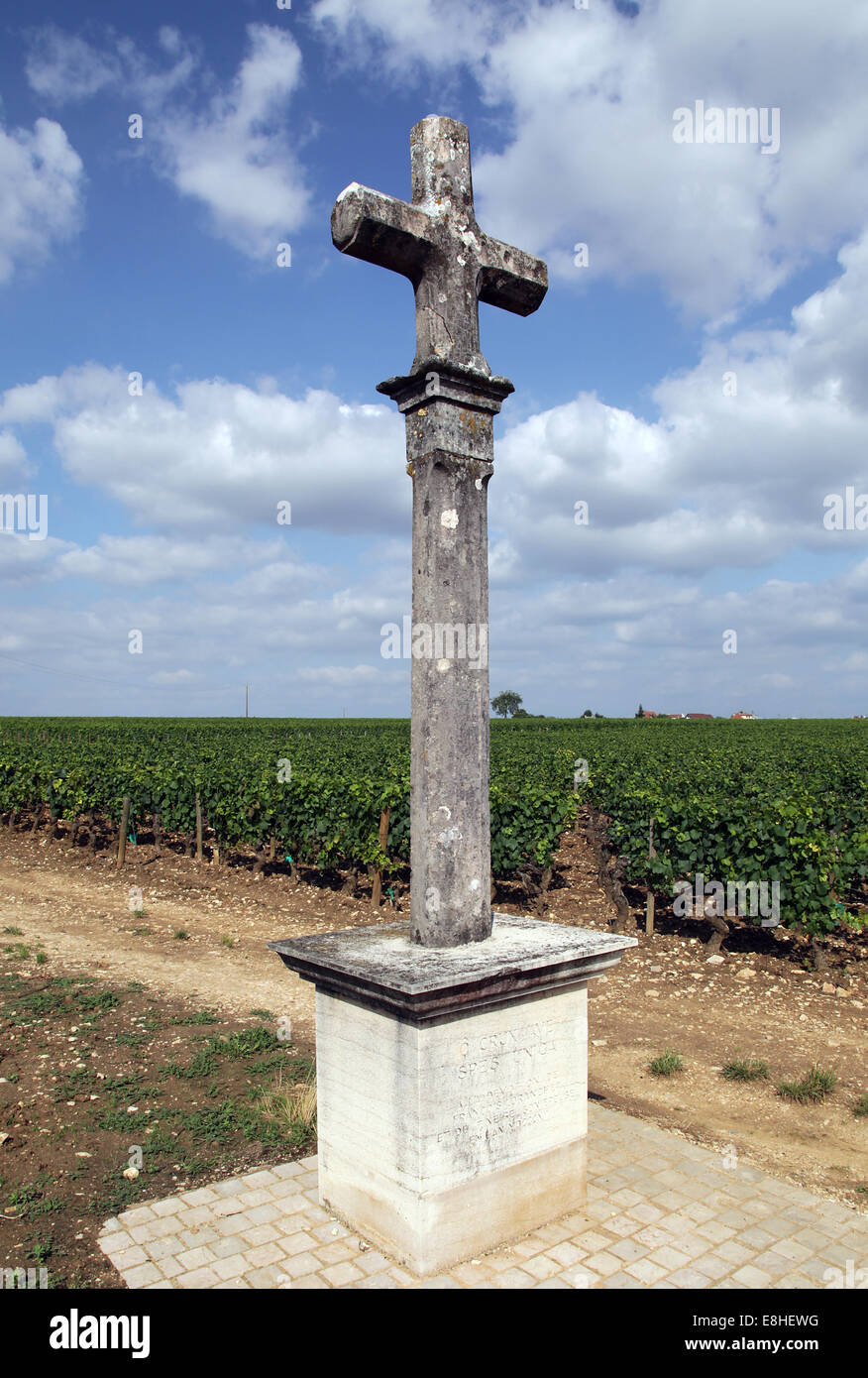 Cross La Romanée-Conti on the border of the vineyard of Romanée-Conti ...