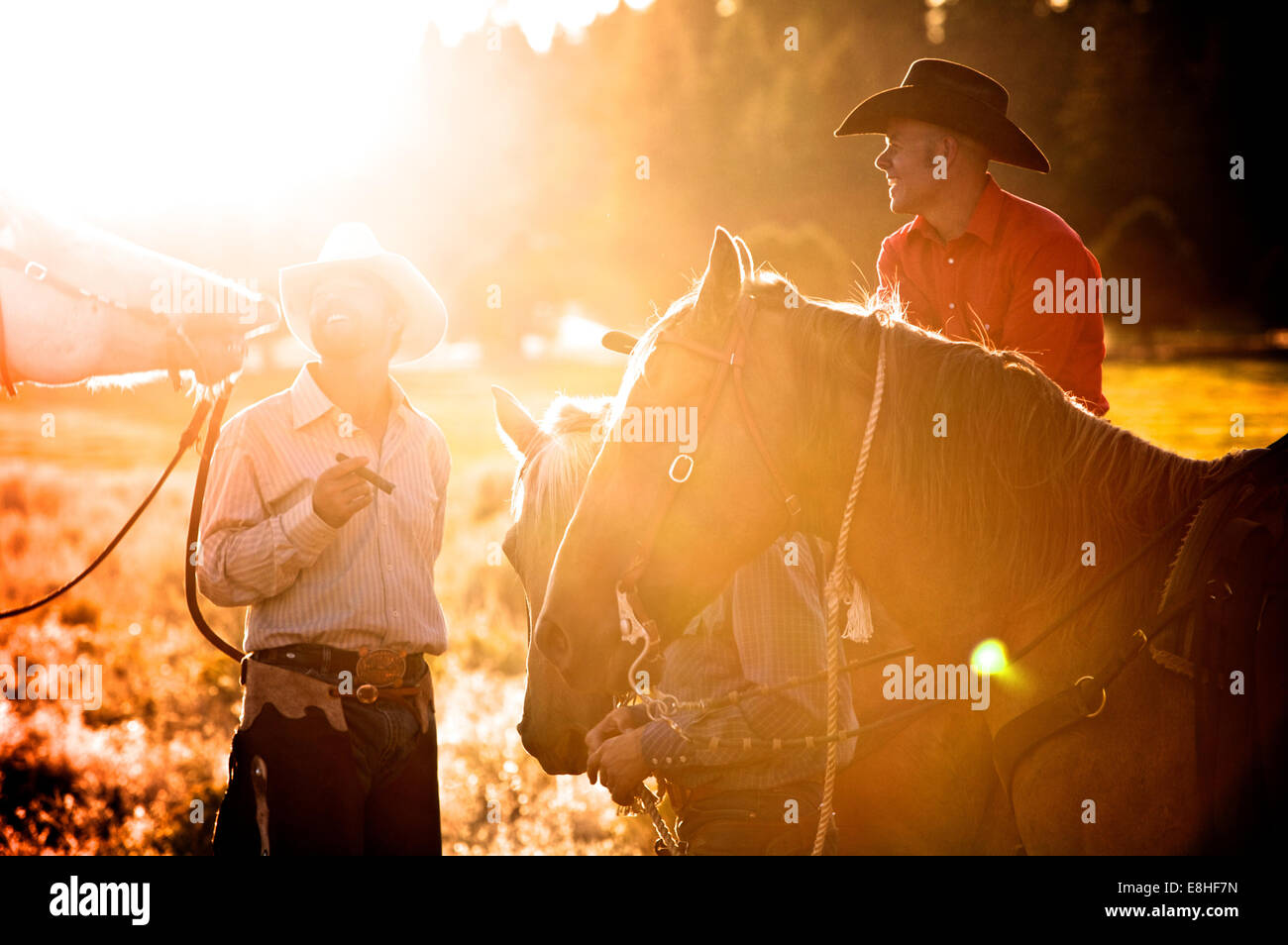 Western cowboys hi-res stock photography and images - Alamy