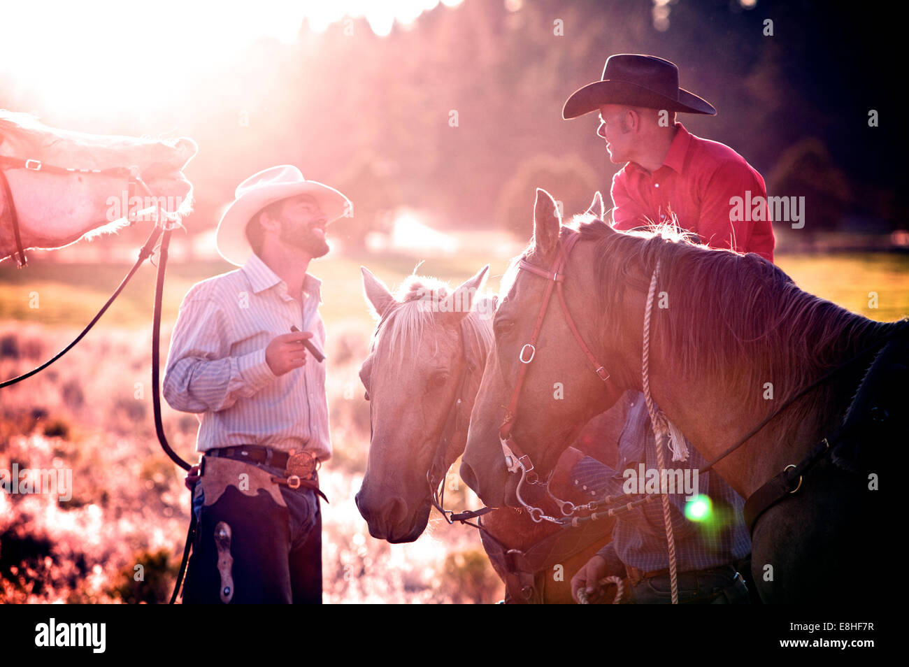 Cowboy smoking cigar hi-res stock photography and images - Alamy