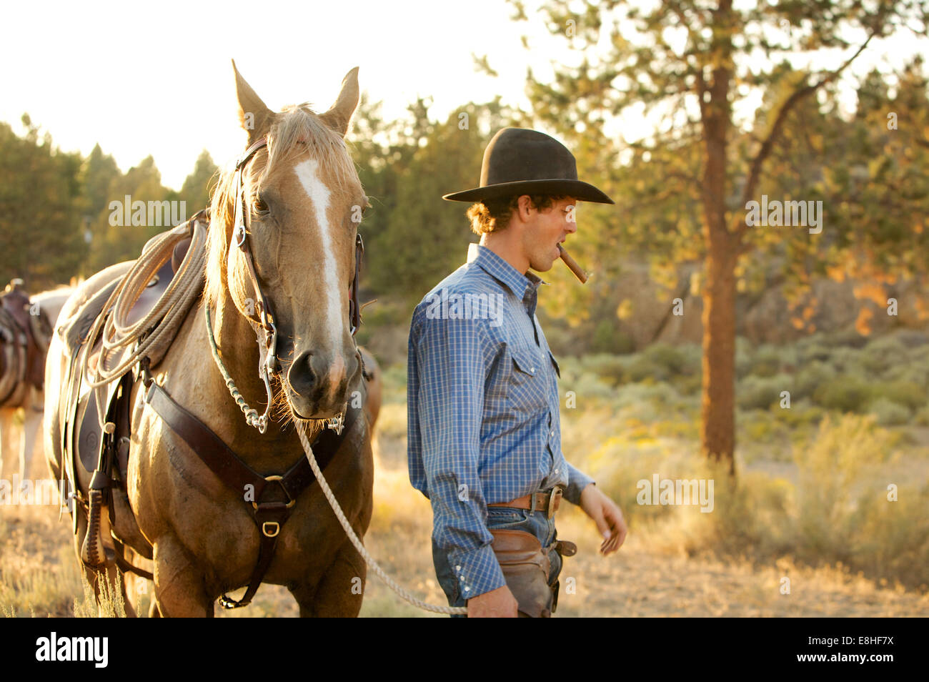 Ranch work horses and cowboys Stock Photo - Alamy