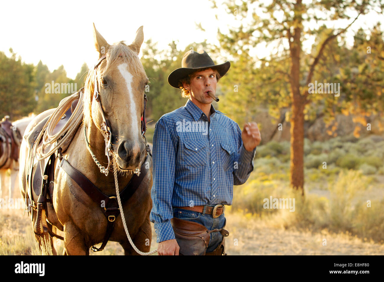 Ranch work horses and cowboys Stock Photo - Alamy