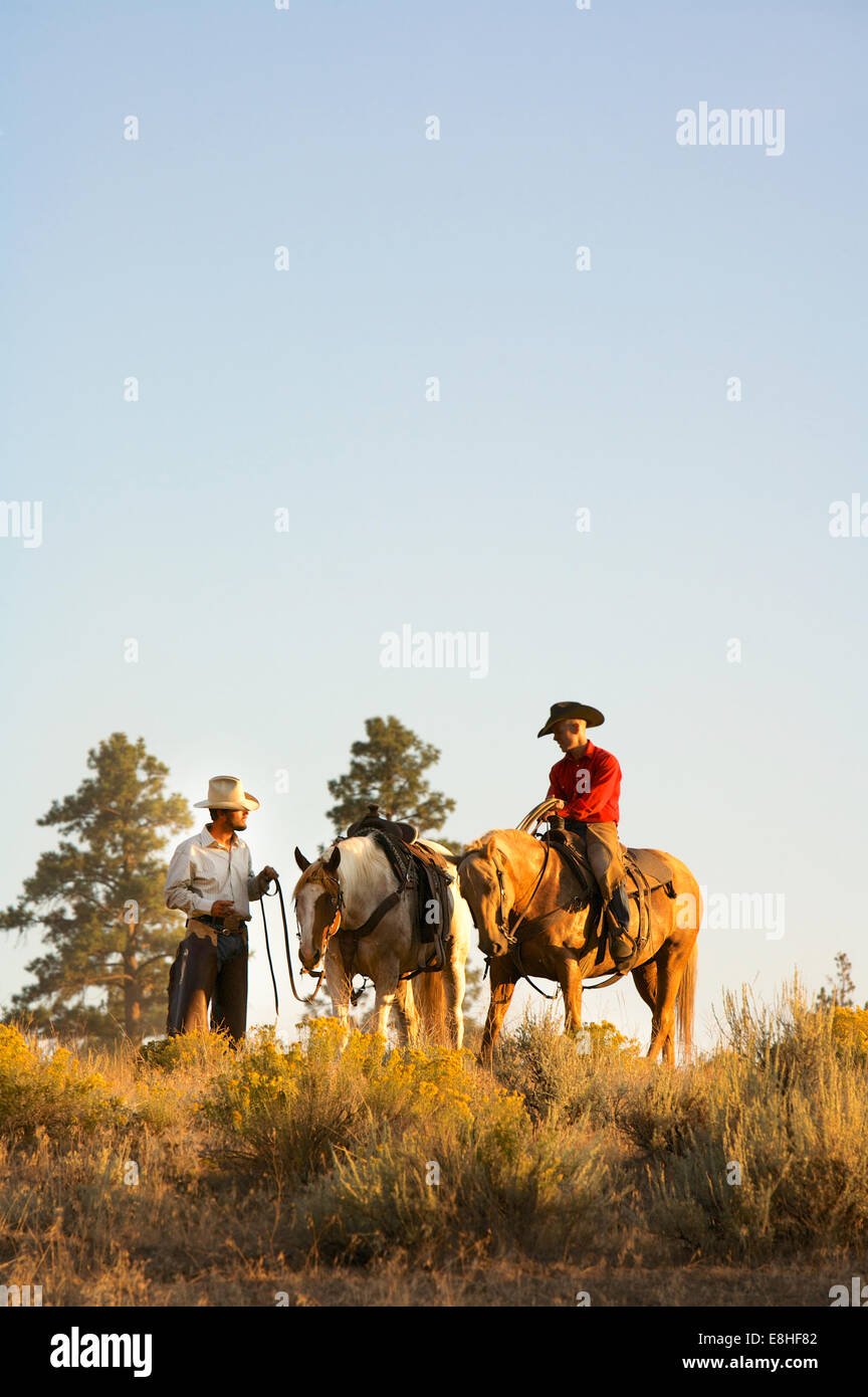 Ranch work horses and cowboys Stock Photo - Alamy