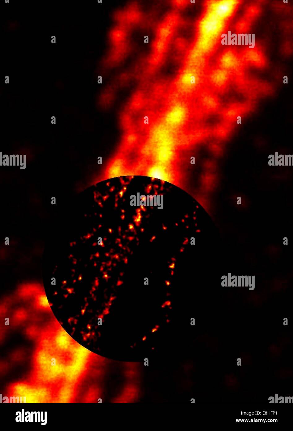 Sted microskope hi-res stock photography and images - Alamy