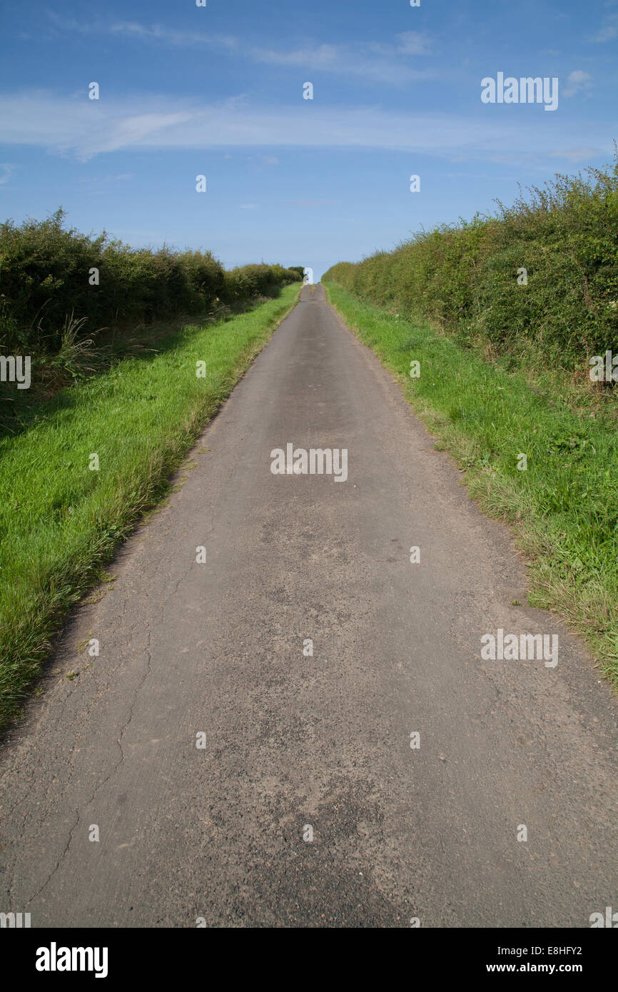 Photograph of straight down the middle of a narrow country lane in ...