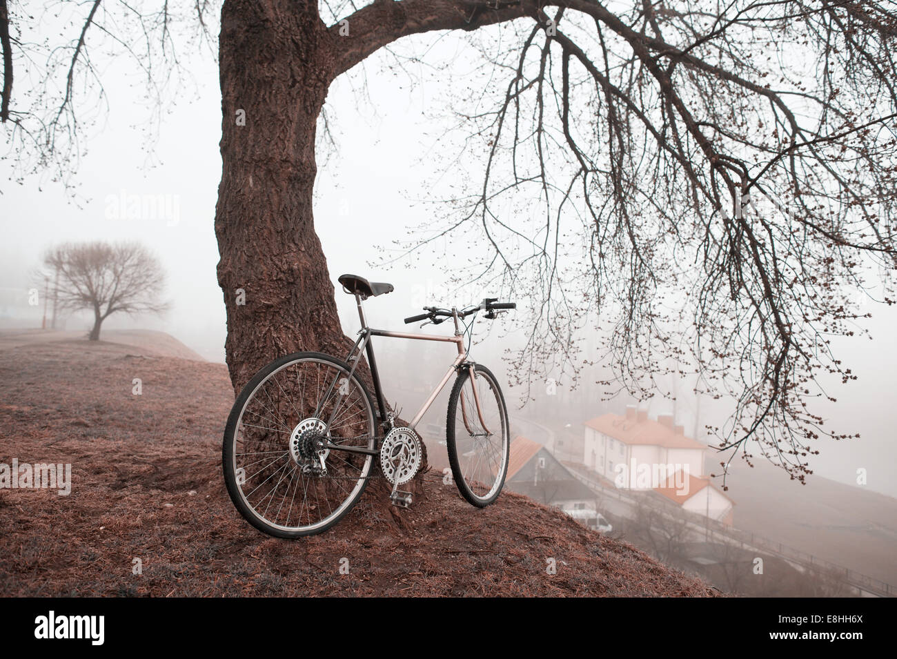 Old bike tree hi-res stock photography and images - Alamy