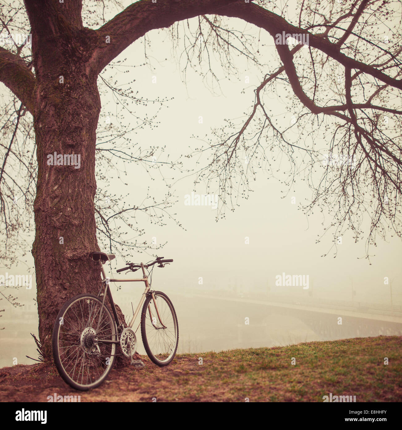 Bike by tree hi-res stock photography and images - Alamy