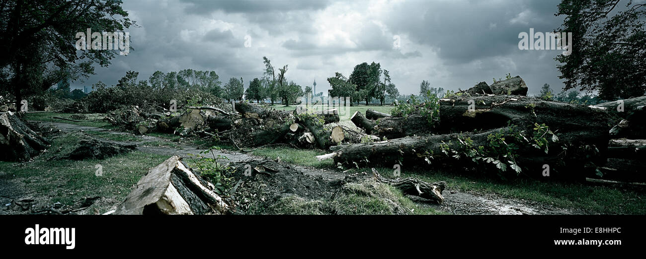 Düsseldorf after the hurricane ela. Landscape photo Stock Photo - Alamy