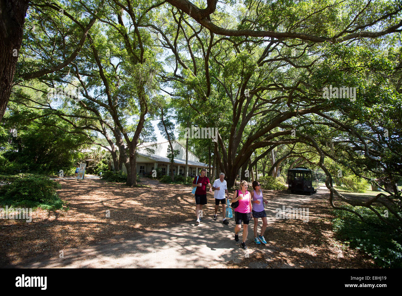 Wadmalaw hi-res stock photography and images - Alamy