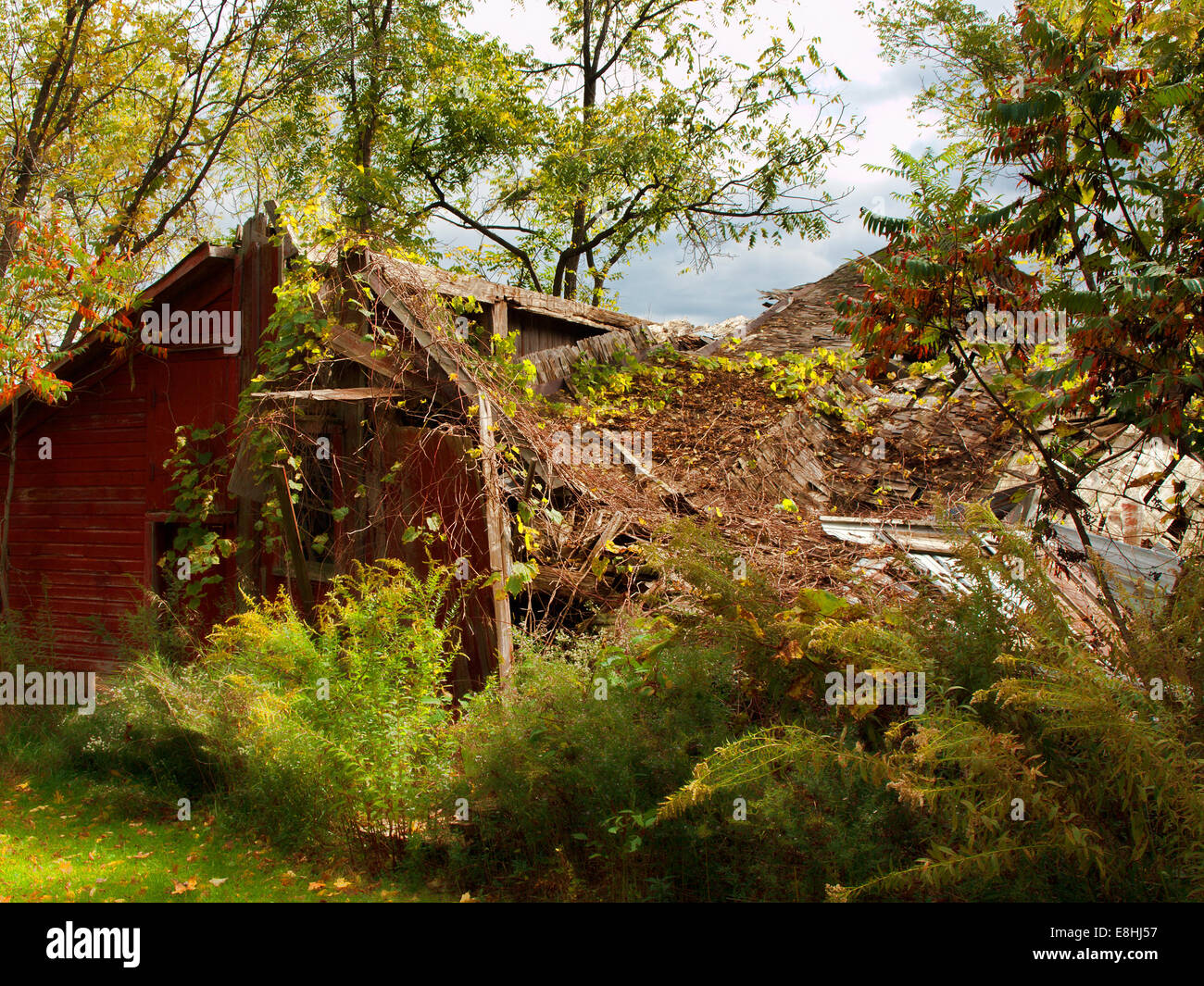 dilapidated, caved in old red barn Stock Photo - Alamy