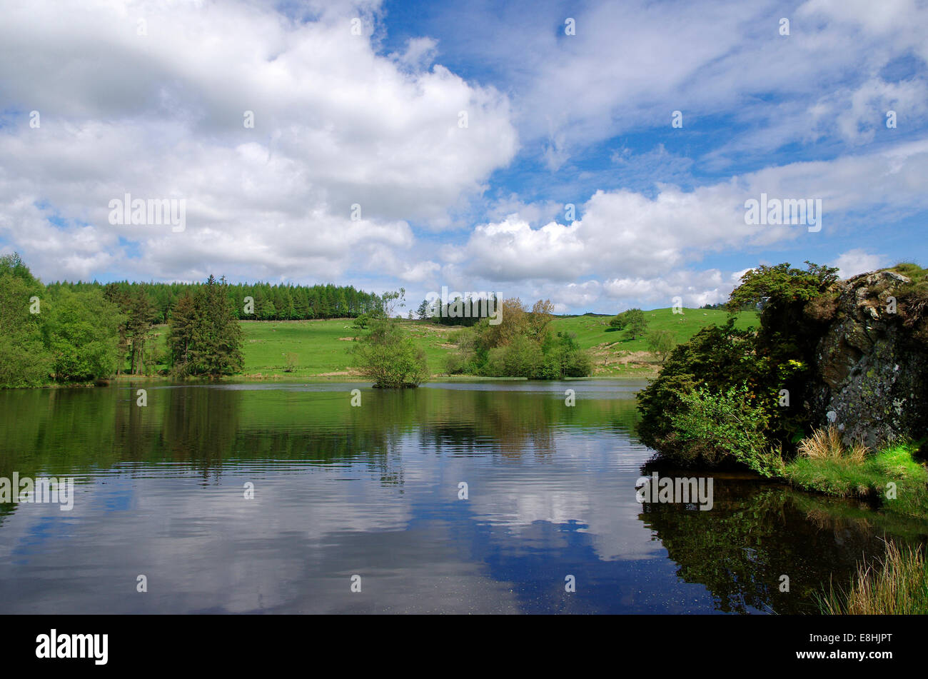 Moss Eccles Tarn, Claife Heights, Lake District National Park, Cumbria ...
